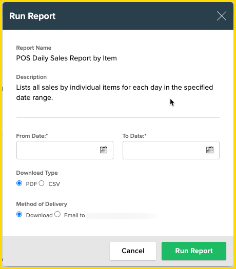 Report Overview: POS Daily Sales Report by Item