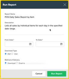 Report Overview: POS Daily Sales Report by Item